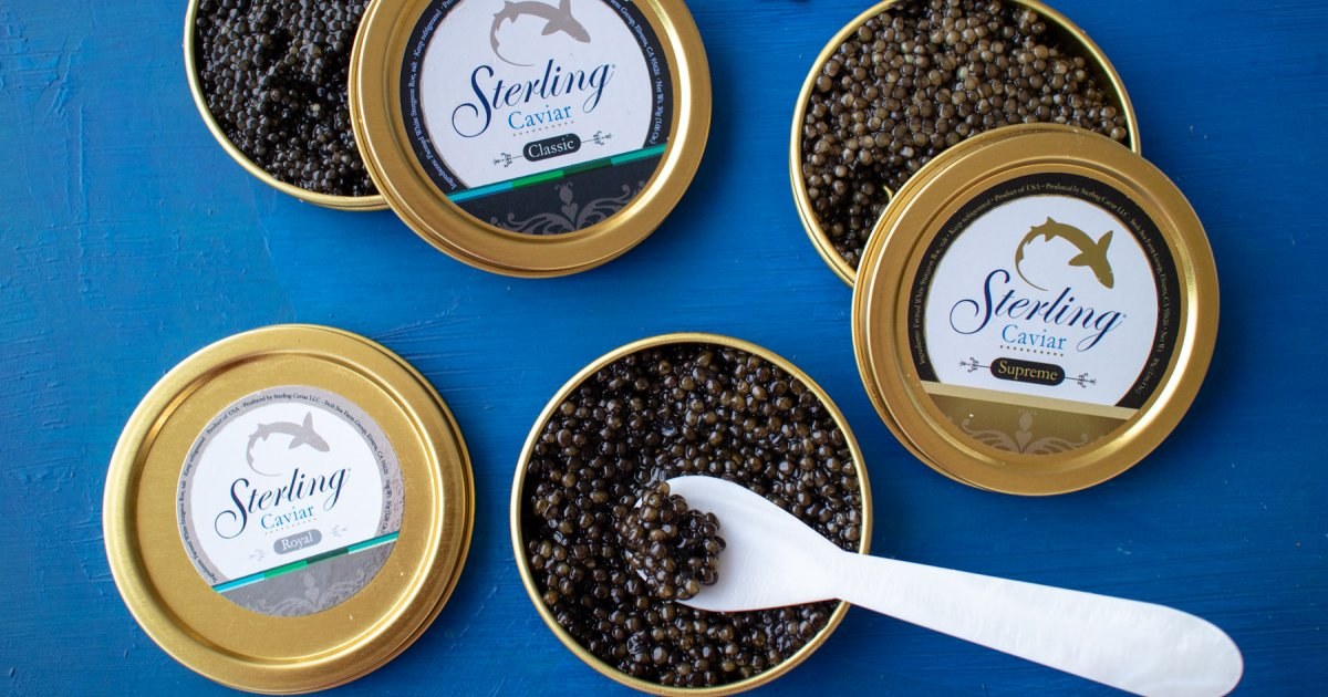 National Caviar Day with Sterling Caviar product review | Oh-So Yummy